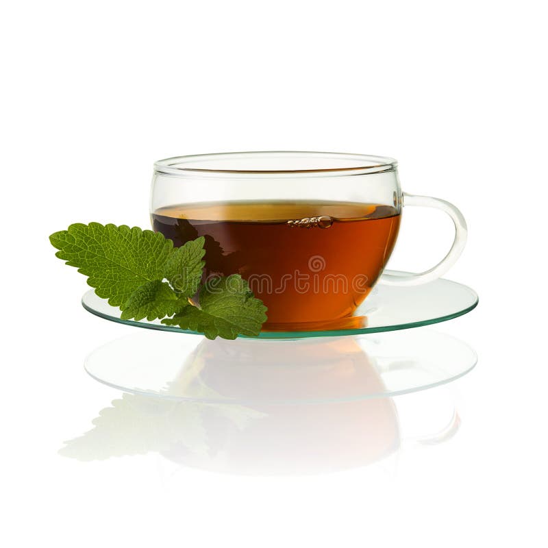 Teacup Tea with Mint Peppermint Leaf Hot Drink Aroma Isolated on White ...