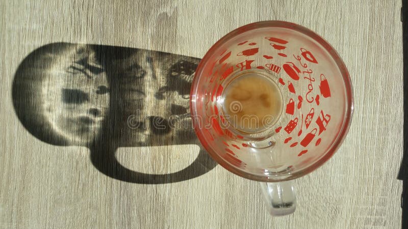 Aerial Mugshot Stock Photos - Free & Royalty-Free Stock Photos from ...