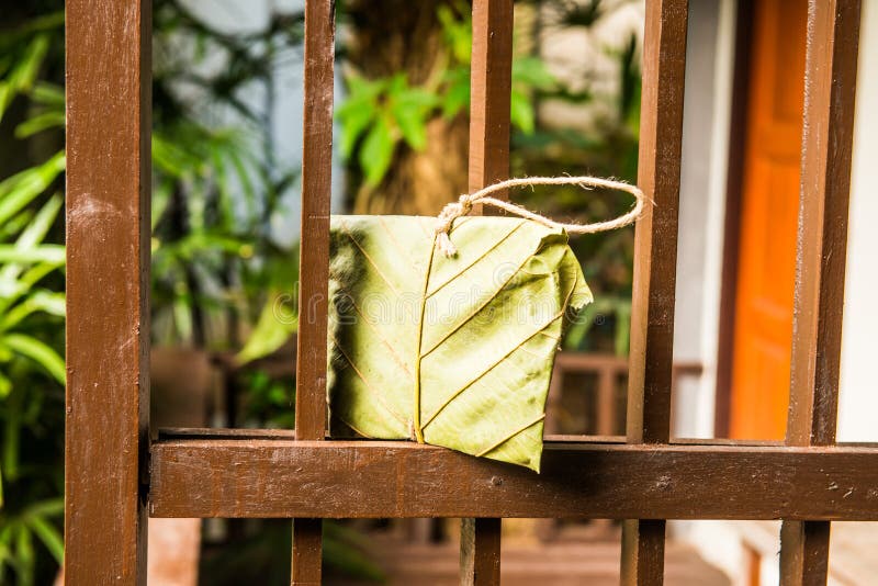 Teak leaf package in park stock photo. Image of packaging - 173284962