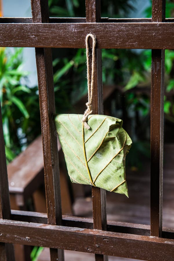 Teak leaf package in park stock image. Image of natural - 173285009