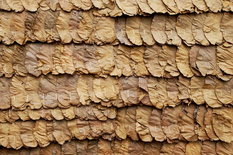 Teak Leaves Roof Texture Background Stock Image - Image of backdrop ...