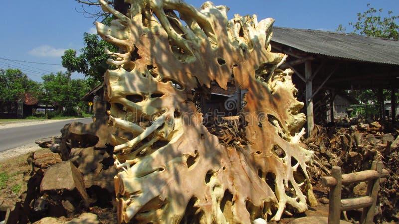 233 Root Crafts Stock Photos - Free & Royalty-Free Stock Photos from ...