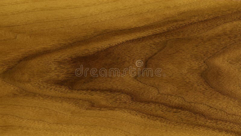 Teak veneer stock photo. Image of background, design - 14851050