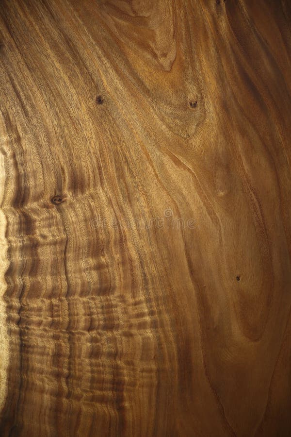 Teak wood stock photo. Image of decor, construction, parquet - 72155668