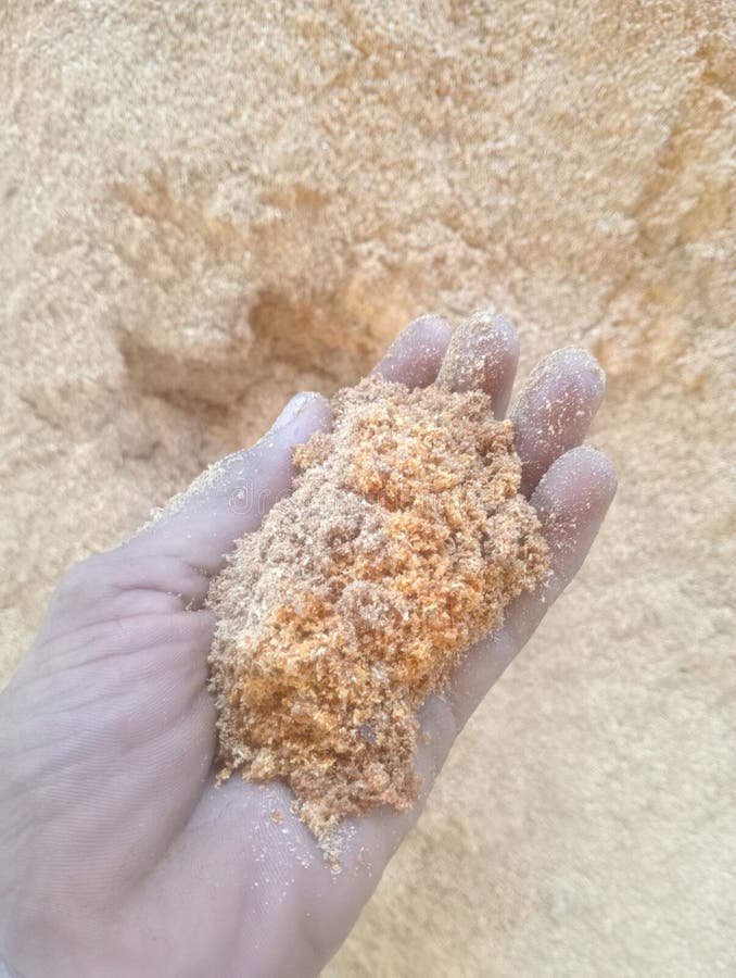 Teak Wood powder stock photo. Image of teak, dessert - 327345266