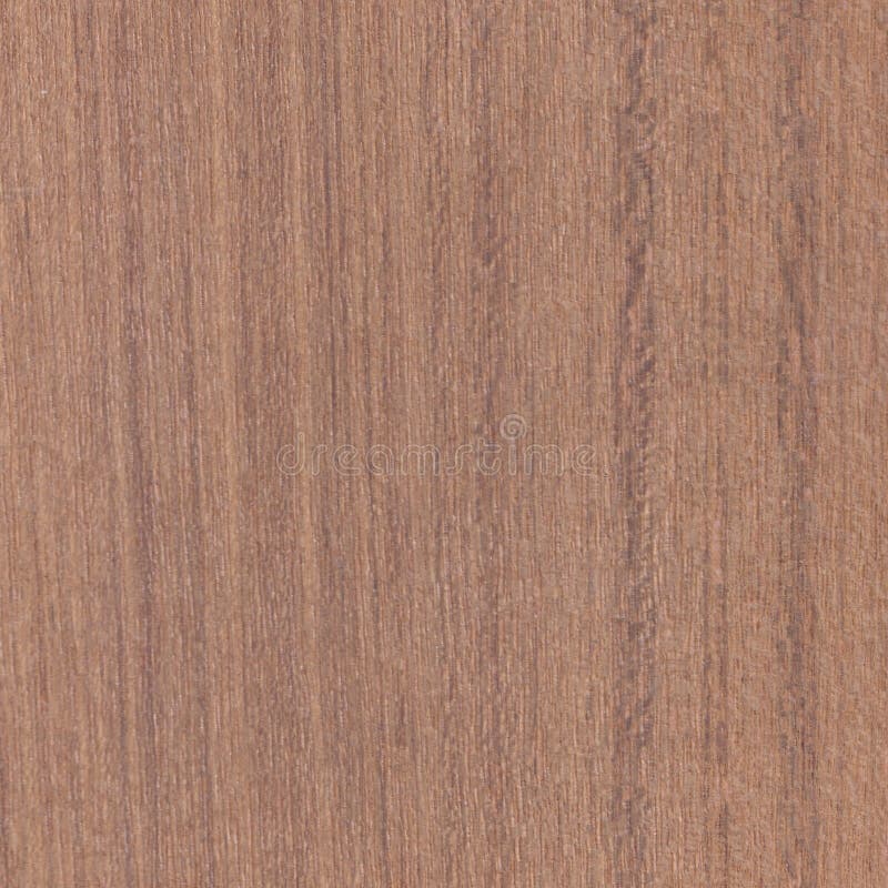 Teak stock photo. Image of timber, materials, surface - 171521450