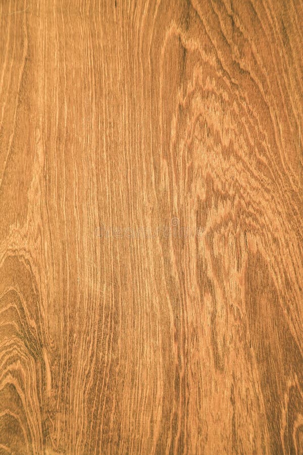 Teak wood surface pattern stock image. Image of tree - 76824359