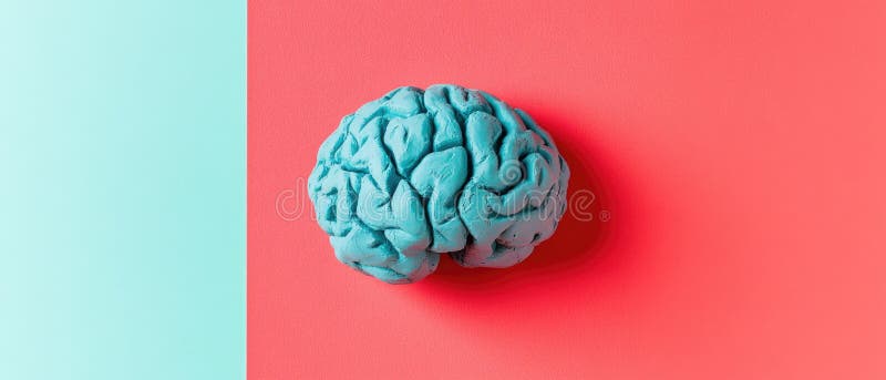 Teal Brain Model on Dual-Tone Background Stock Image - Image of concept ...