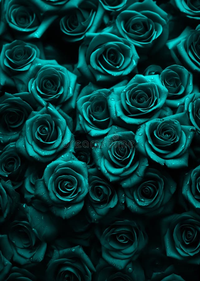Teal Roses Stock Illustrations – 276 Teal Roses Stock Illustrations ...