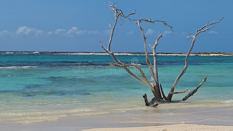 Teal water beach Aruba stock photo. Image of horizon - 210378136
