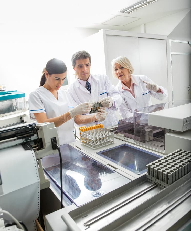 Team Analyzing Samples in Laboratory Stock Image - Image of scientist ...