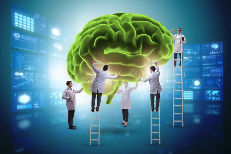 Team of Doctors Examining Human Brain Stock Photo - Image of ...