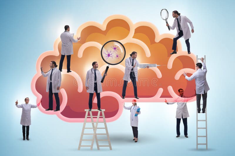 The Team of Doctors Examining Human Brain Stock Photo - Image of ...