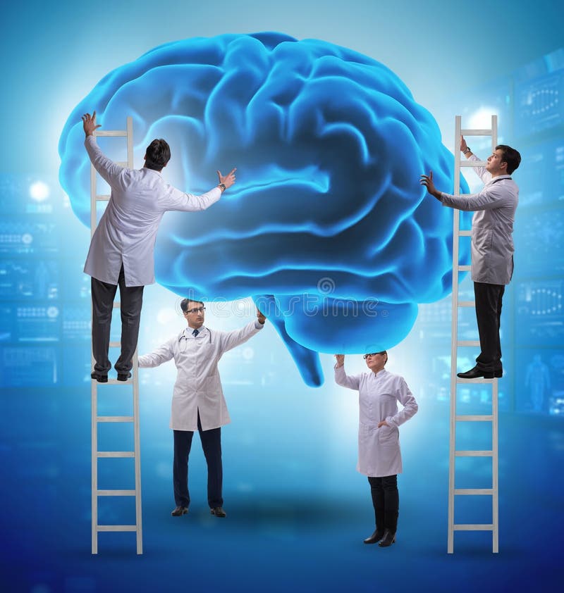 Team of Doctors Examining Human Brain Stock Image - Image of physician ...