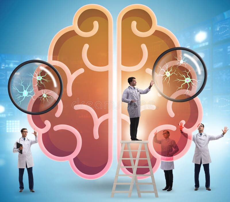 The Team of Doctors Examining Human Brain Stock Photo - Image of doctor ...