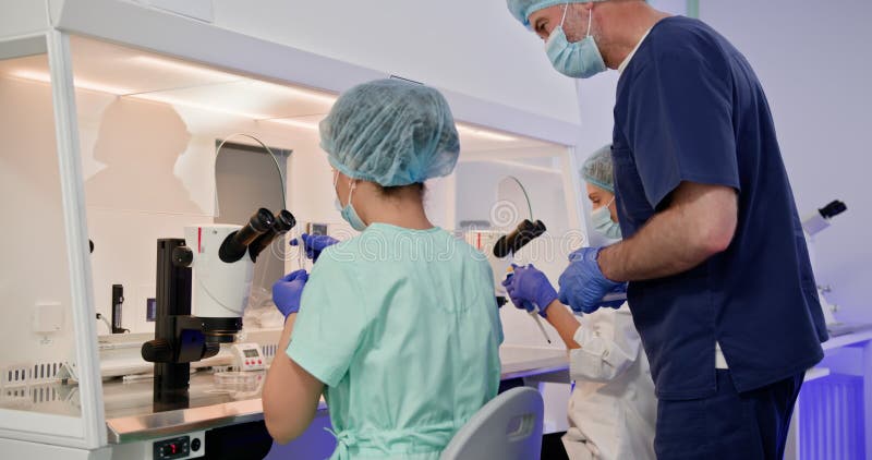Embryologists Performing Artificial Fertilization in Laboratory Setting ...