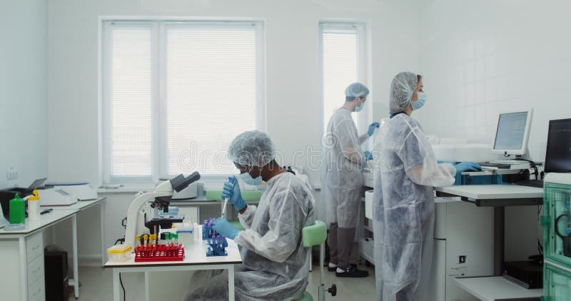 A Team of Laboratory Technicians Work in a Modern, Well-equipped ...