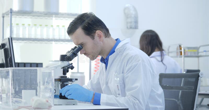 Team of Medical Research Scientists Work on Modern Laboratory with ...