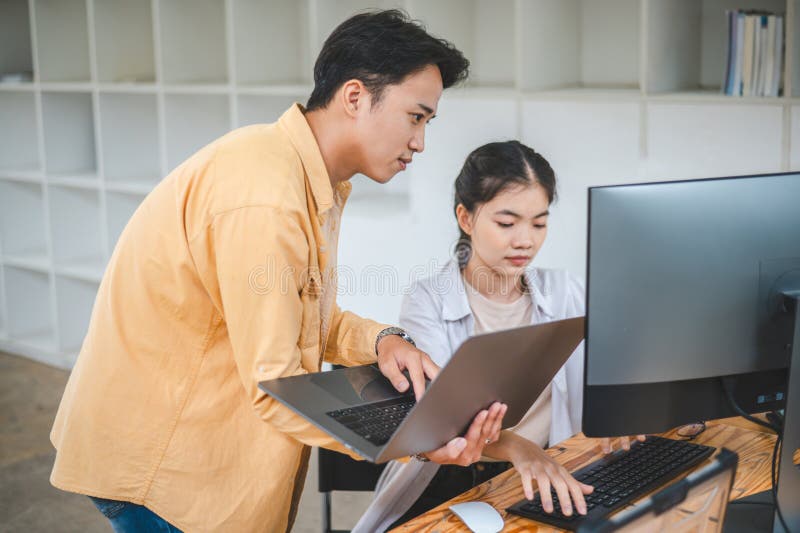 Team Programmer Focuses On Software Development Site Design And The