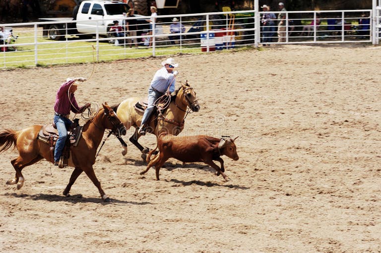 Team Roping stock photo. Image of adults, leather, horses - 1027304