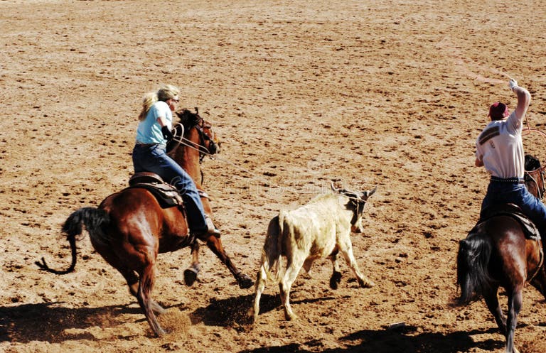 1,246 Team Roping Stock Photos - Free & Royalty-Free Stock Photos from ...