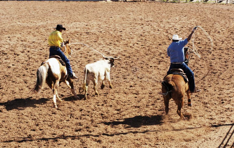 1,246 Team Roping Stock Photos - Free & Royalty-Free Stock Photos from ...