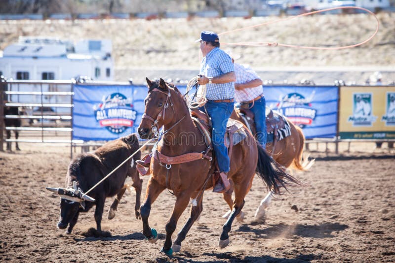 Team Roping Competition foto de stock editorial. Imagem de equipe ...