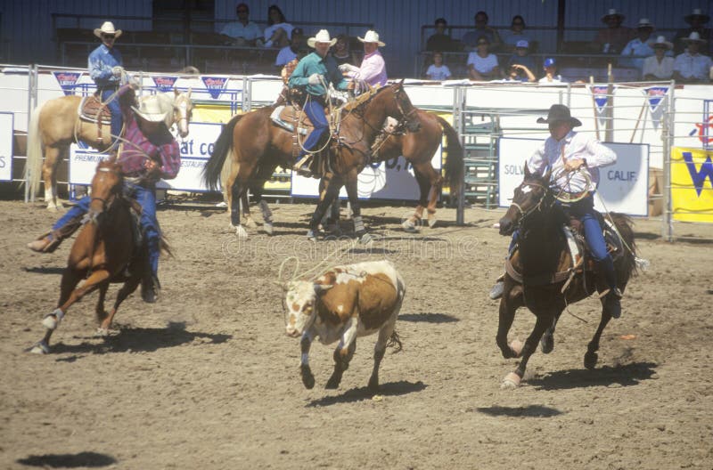 Rodeo Bull Riding editorial photography. Image of spanish - 46478772