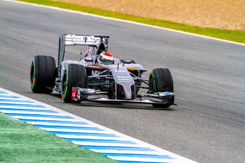 Team Sauber F1, Adrian Sutil, 2014 Editorial Image - Image of pilot ...