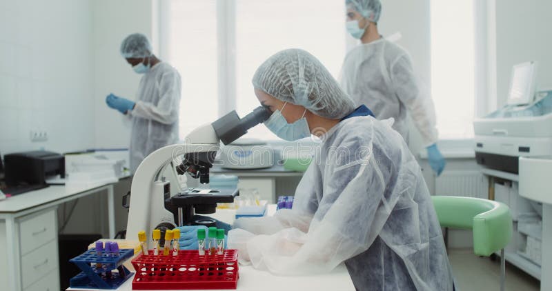 A Team of Laboratory Technicians Work in a Modern, Well-equipped ...