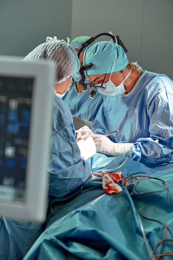 Team of Surgeons for Work in the Operating Room. Several Surgeons are ...