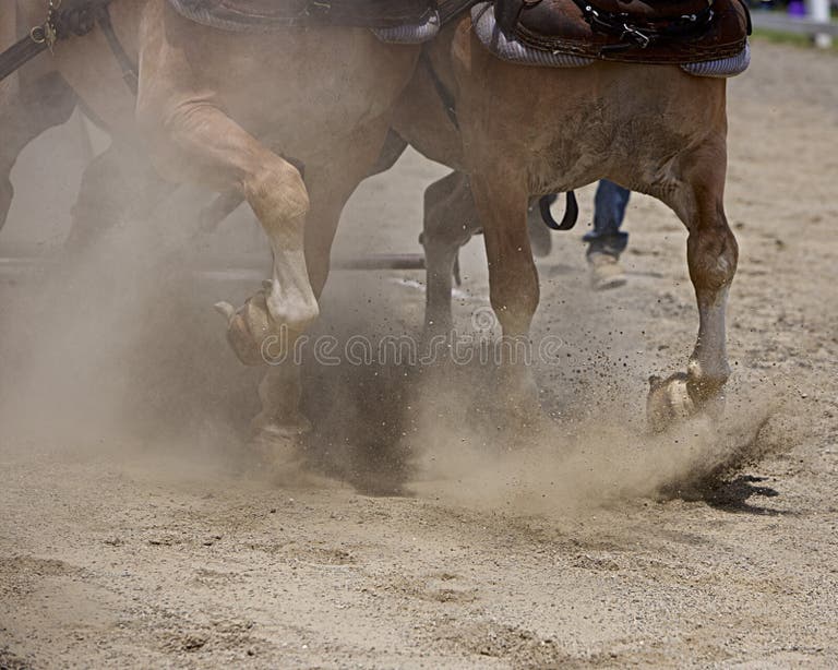 Through the Dust stock photo. Image of drag, dusty, country - 121895306