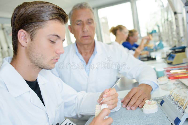 Team Workers At Dental Laboratory- Odontology Student Stock Image ...