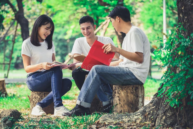Team of Young Students Studying in the Park. Stock Image - Image of ...