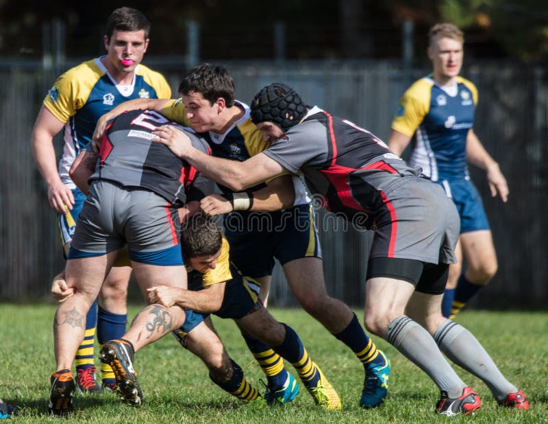 Teamwork Helps editorial photo. Image of clambering, exercise - 80925826