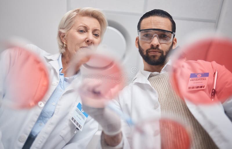 Teamwork, Laboratory and Science by Scientists in Analytics Research a ...