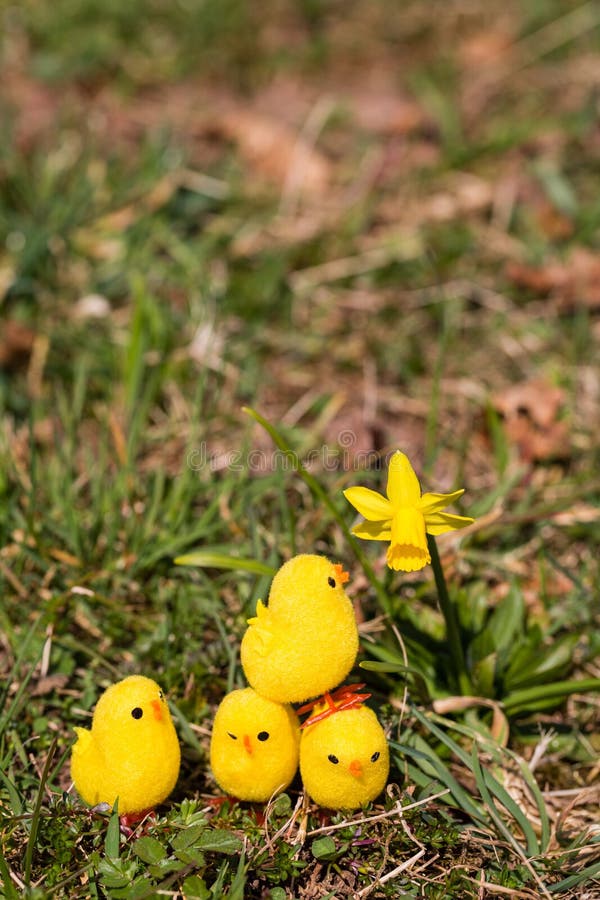 Teamwork in yellow stock image. Image of chicken, humorous - 64566975