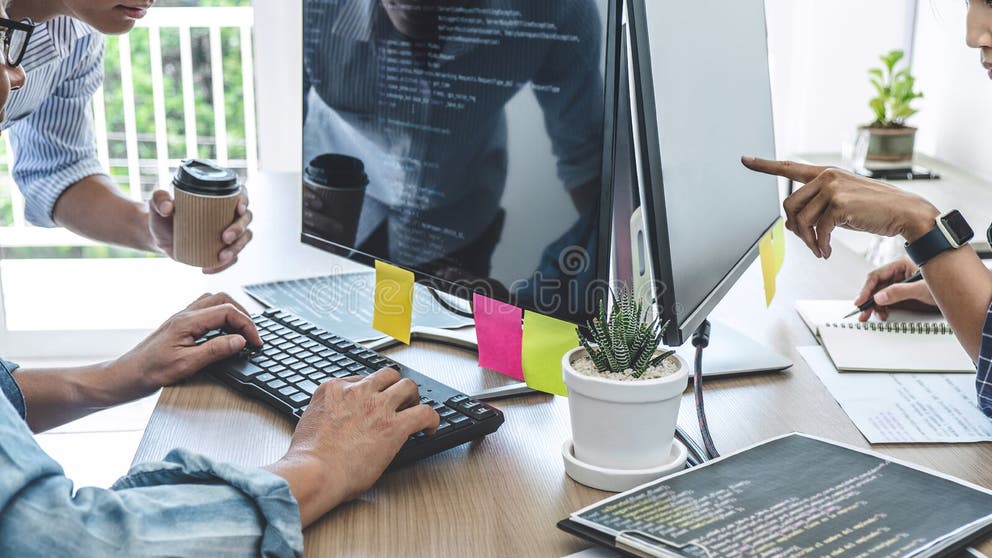 Teamwork of Professional Programmers Cooperating at Developing ...