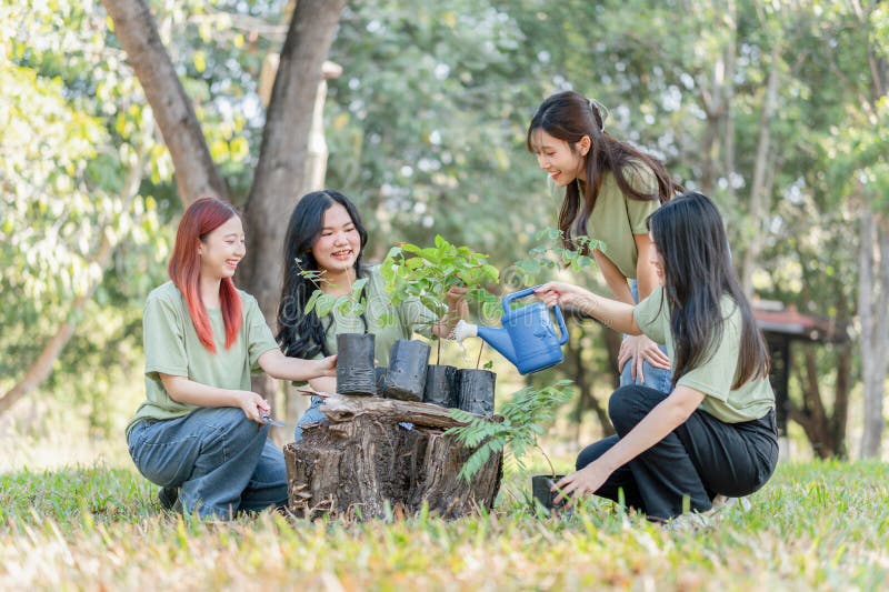 A Row of Trees for a Charity Planting Initiative Stock Image - Image of ...