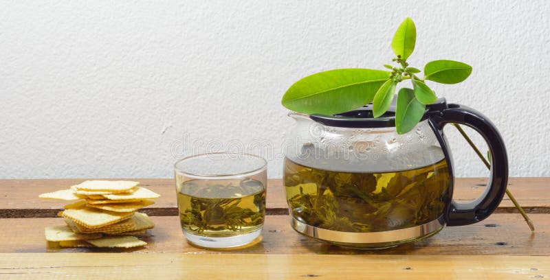 Teapot and cracker stock photo. Image of refresh, herb - 77590268