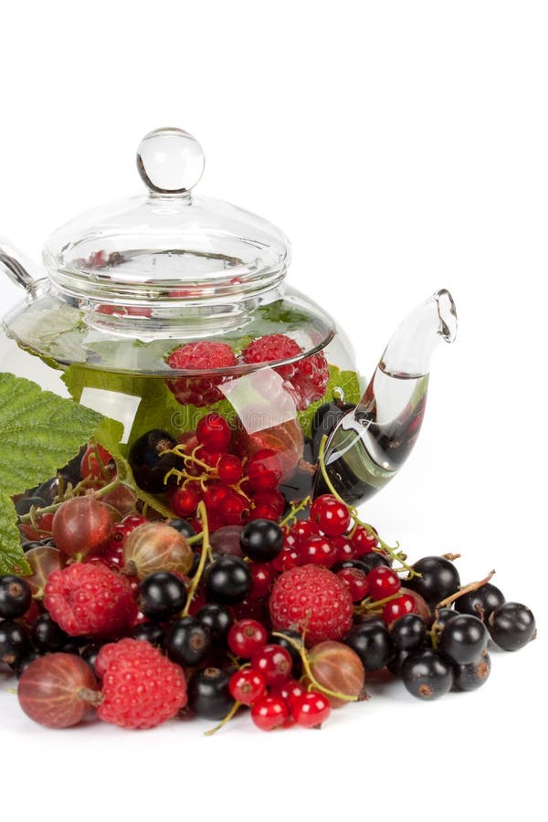 Forest berry tea stock photo. Image of black, natural - 17121362