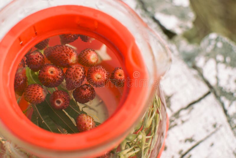 Teapot of Fruit Tea with Herbs and Berry on the White Tree Stump Stock ...