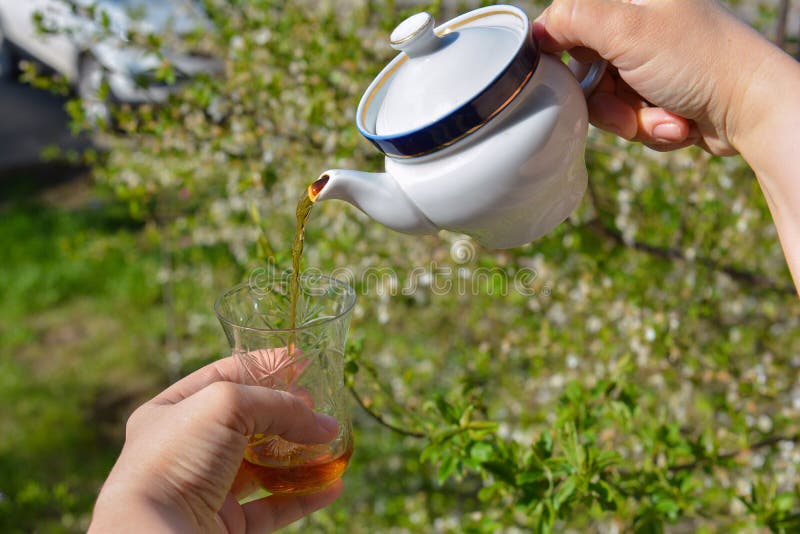 Teapot and Glass in Hands, Pour Tea Stock Image - Image of pour ...