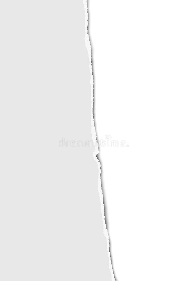 Teared from Top To Bottom Vertical Sheet of White Paper. Vector Paper ...