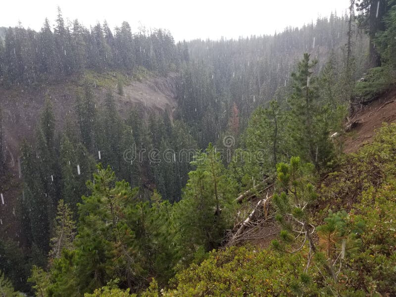 Tears from above stock photo. Image of rain, trees, nature - 161745324