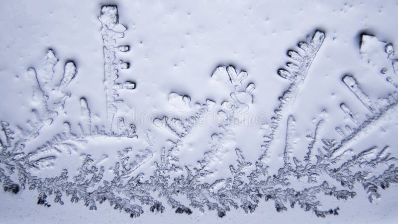 Tears Viewed at the Microscope Stock Photo - Image of drop, laboratory ...