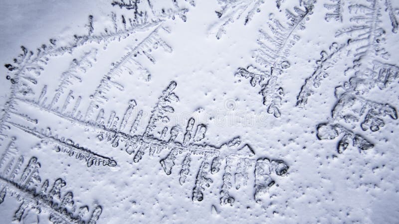 Tears Viewed at the Microscope Stock Photo - Image of viewed, target ...