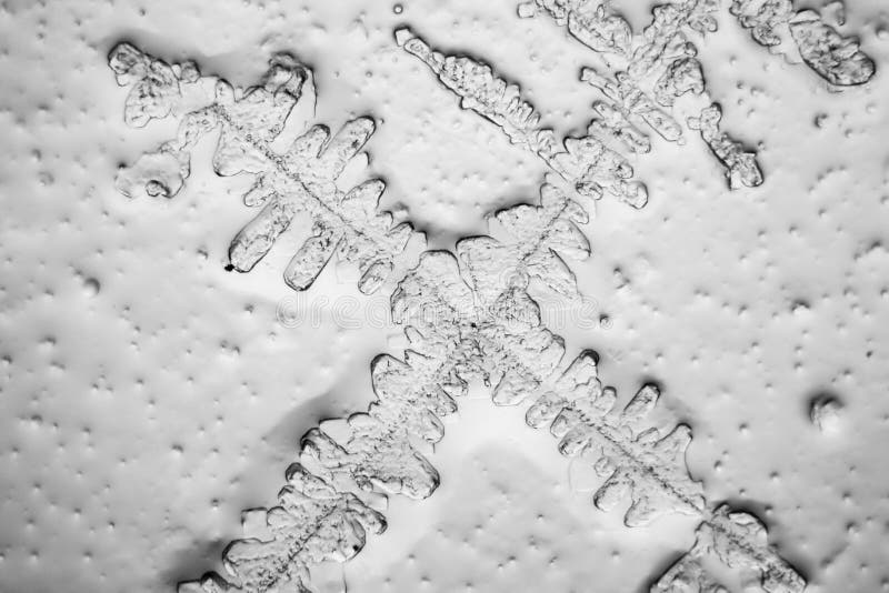 Tears Viewed at the Microscope Stock Photo - Image of magnification ...