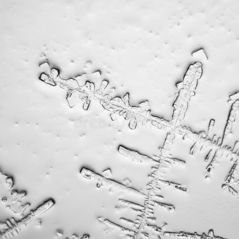 Tears Viewed at the Microscope Stock Photo - Image of texture, medicine ...