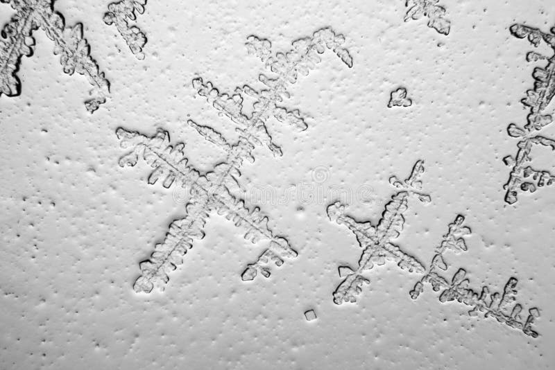 Tears Viewed at the Microscope Stock Image - Image of tear, cell: 121224247